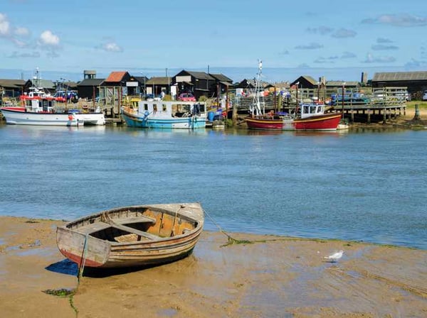 Megan Lee-Devlin joins MoJ as Director General